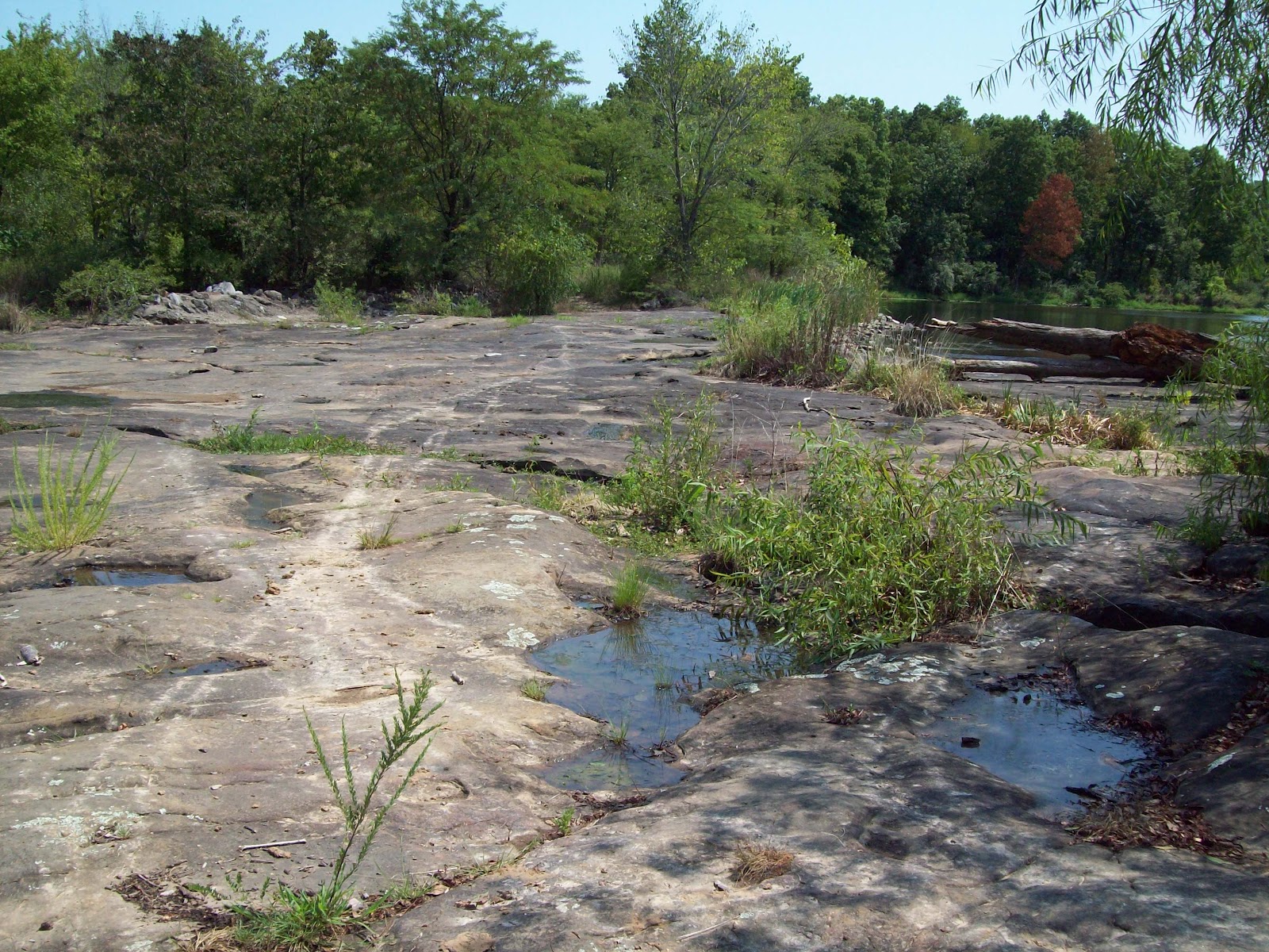 Sierra Club, Shawnee Group: Little Cedar Loop Trail