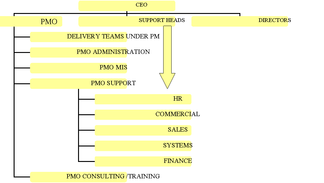 PMO Organization Chart