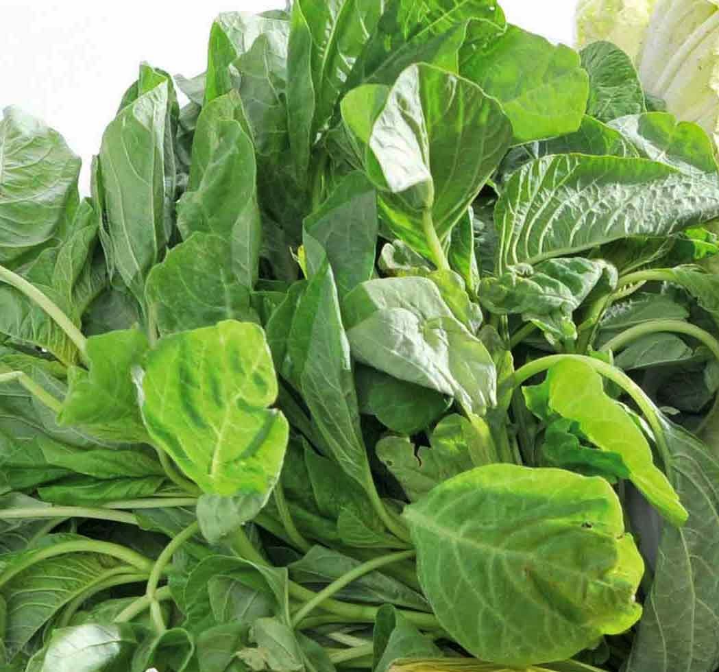 Bayam ... bayam ... bayam