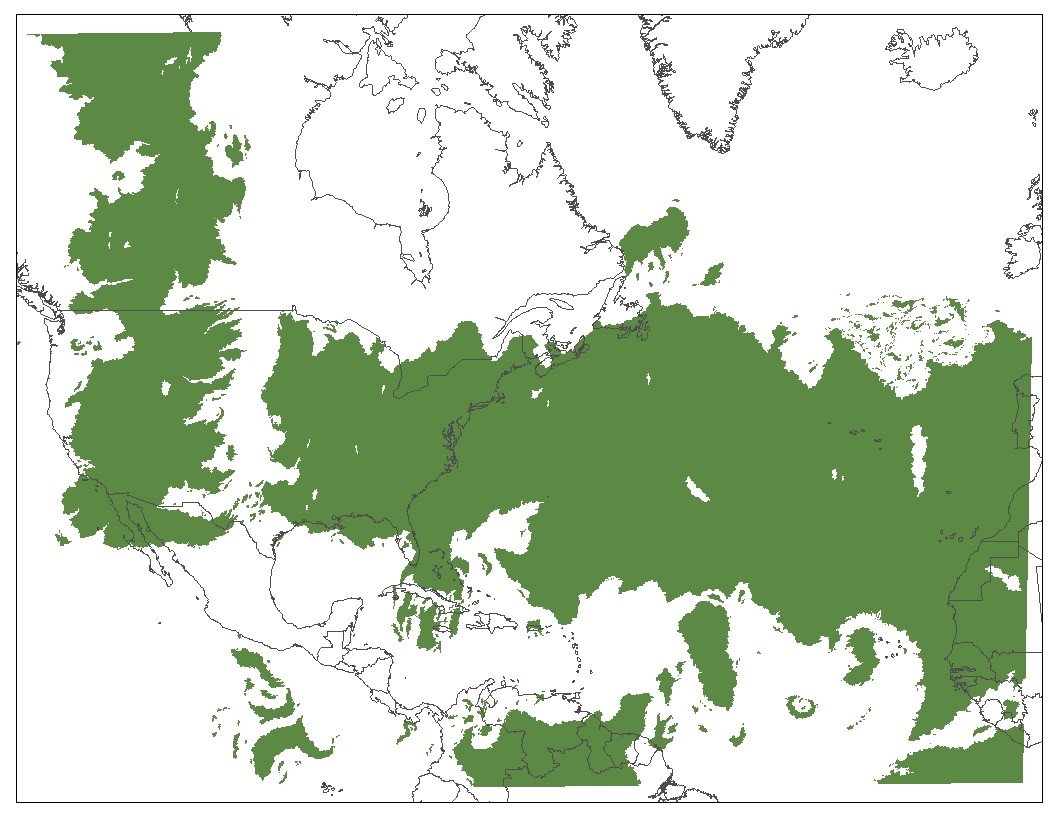 The Ibbenese Cartographer: The True Size of the North