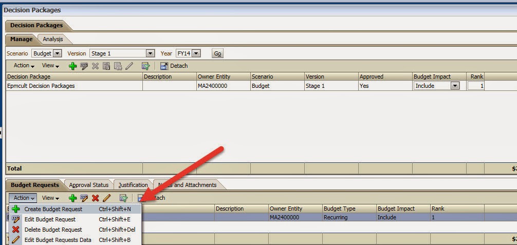 Hyperionized: The Process Flow of Decision Package/Budget Request with ...