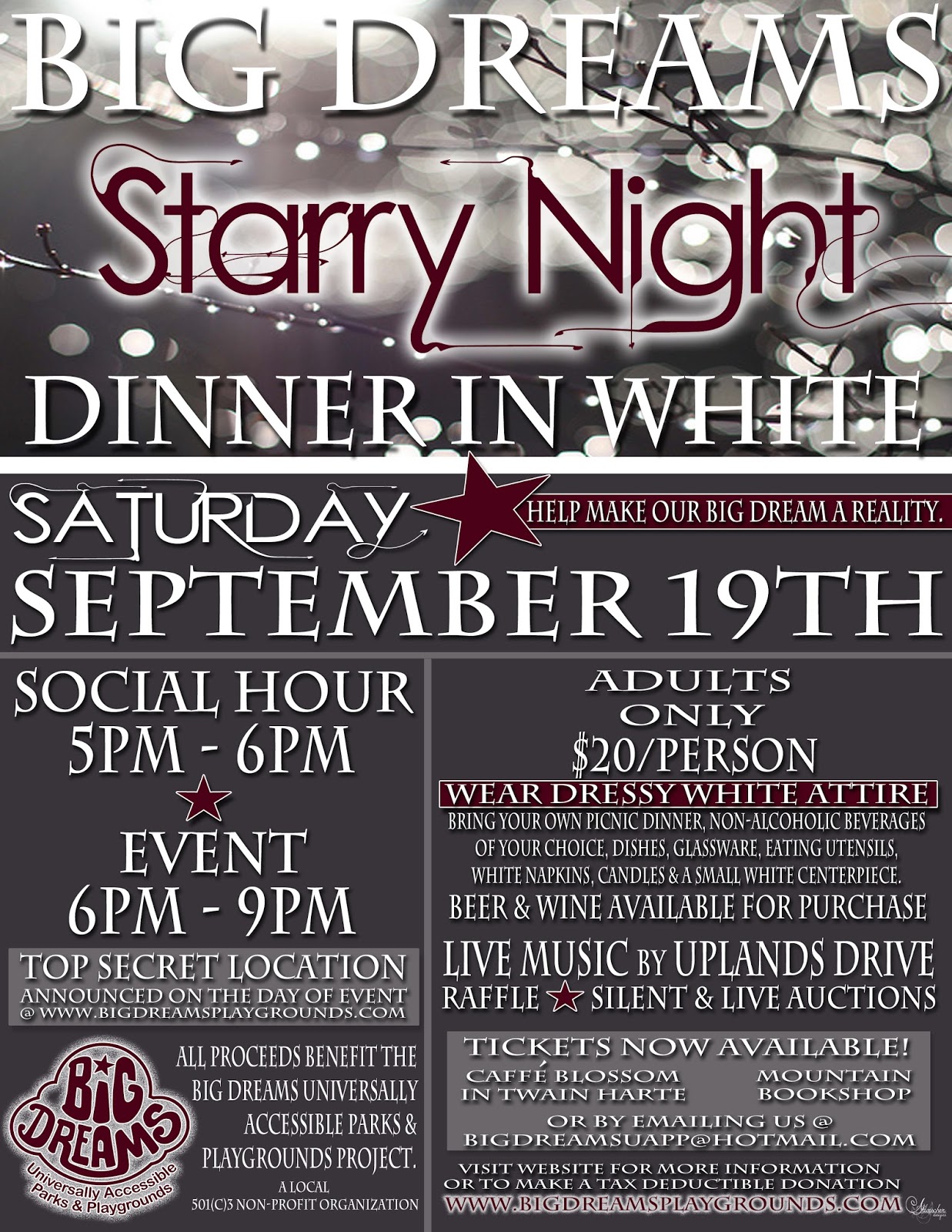 Big Dreams Parks and Playgrounds: Starry Night Dinner in White 2015