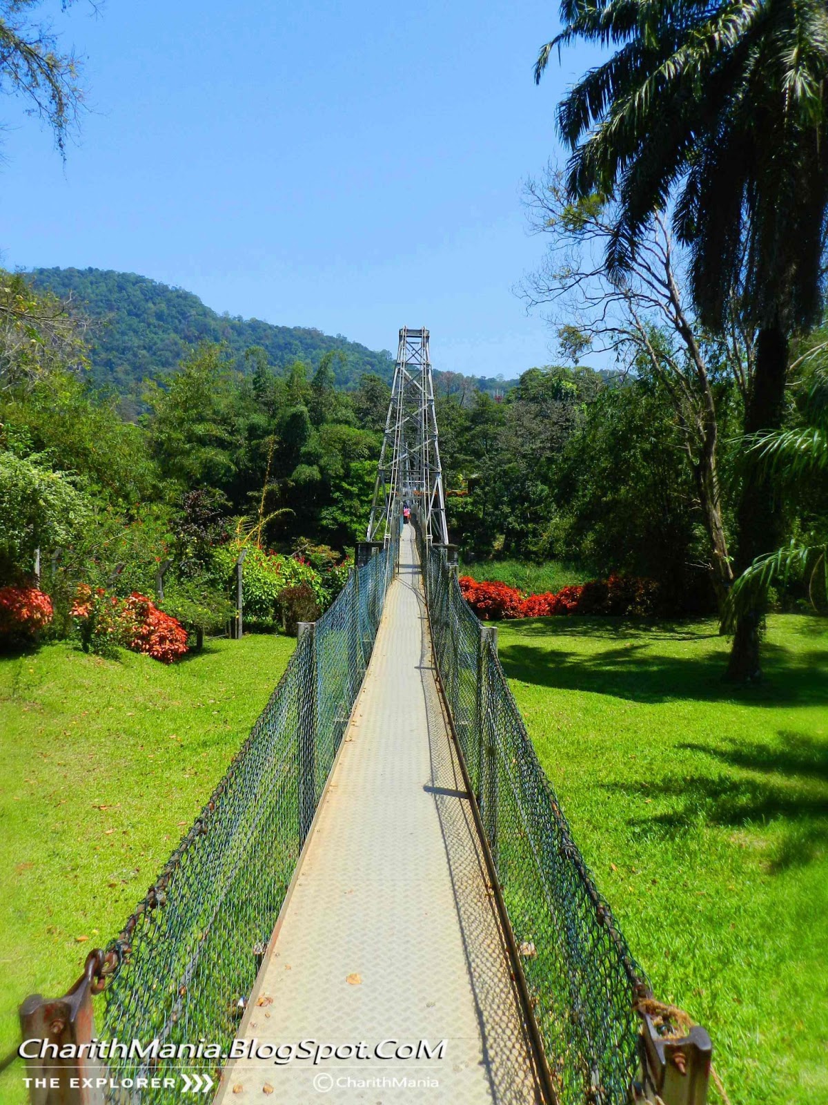 CharithMania: "Old suspension bridge over River Mahaweli at Peradeniya"