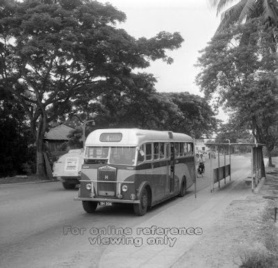 Blog To Express: Memories On The Bus