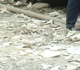 WTC Dust: The "Smoking Gun of 9/11"