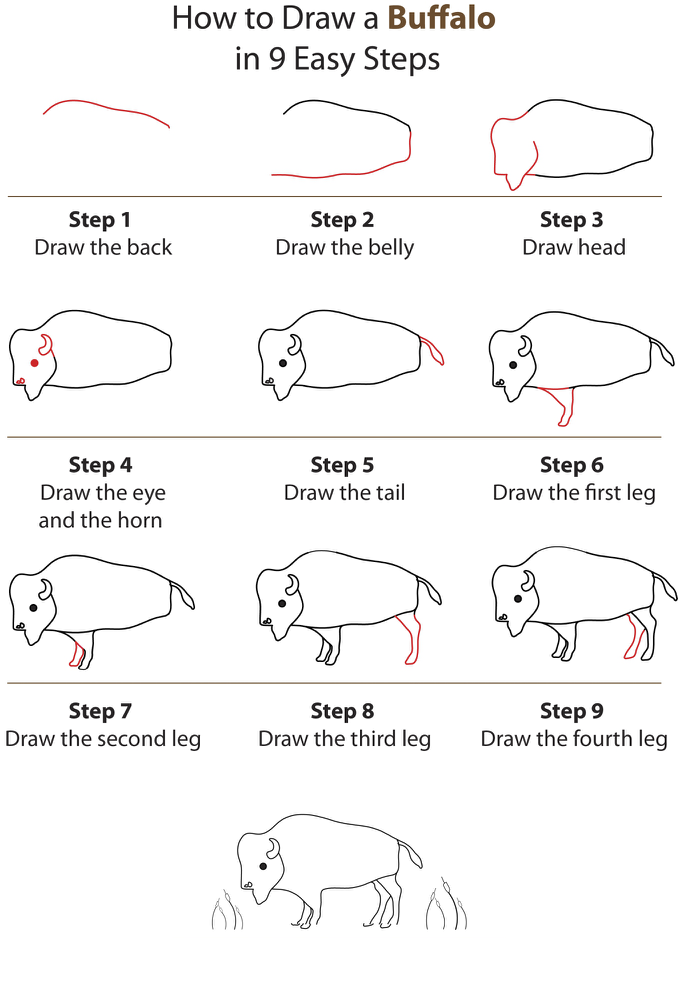 How to Draw Bufallo - How to Draw Animal