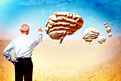 Academia de Vida Óptima : Claves para lograr un envejecimiento normal y ...