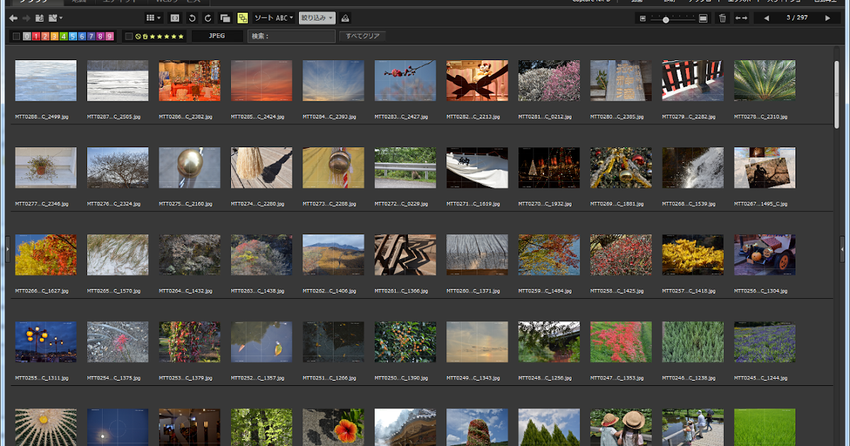 Nikon Viewnx 2 На Русском.Rar - pleercommercial