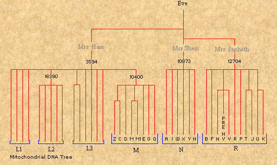 Creation Science Talk: DNA suports the Biblical; Account of Babel