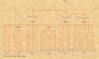 Creation Science Talk: DNA suports the Biblical; Account of Babel