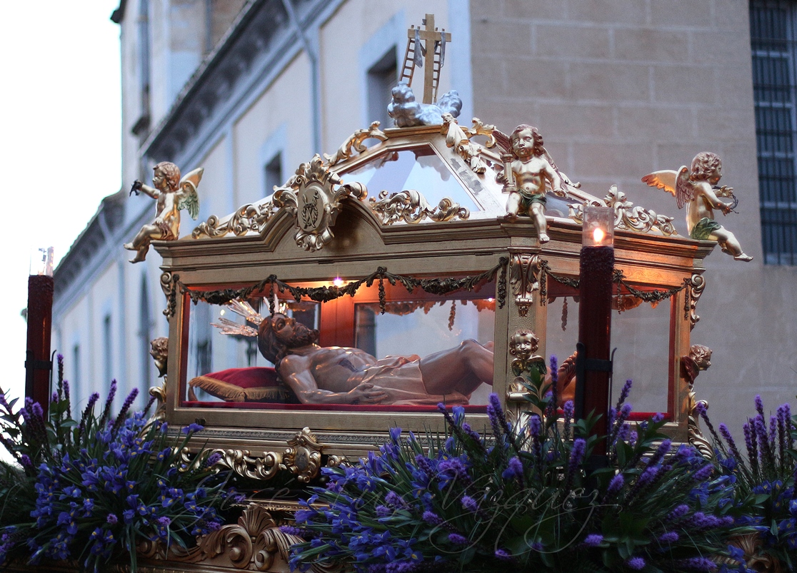 Bajo el Objetivo: Catafalco