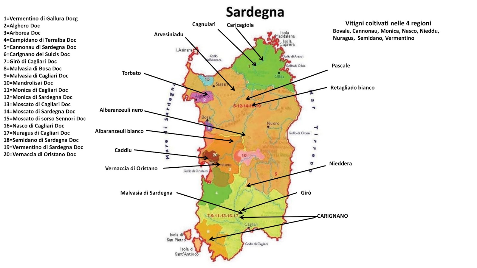Cartina Sardegna Bianco E Nero | Tomveelers