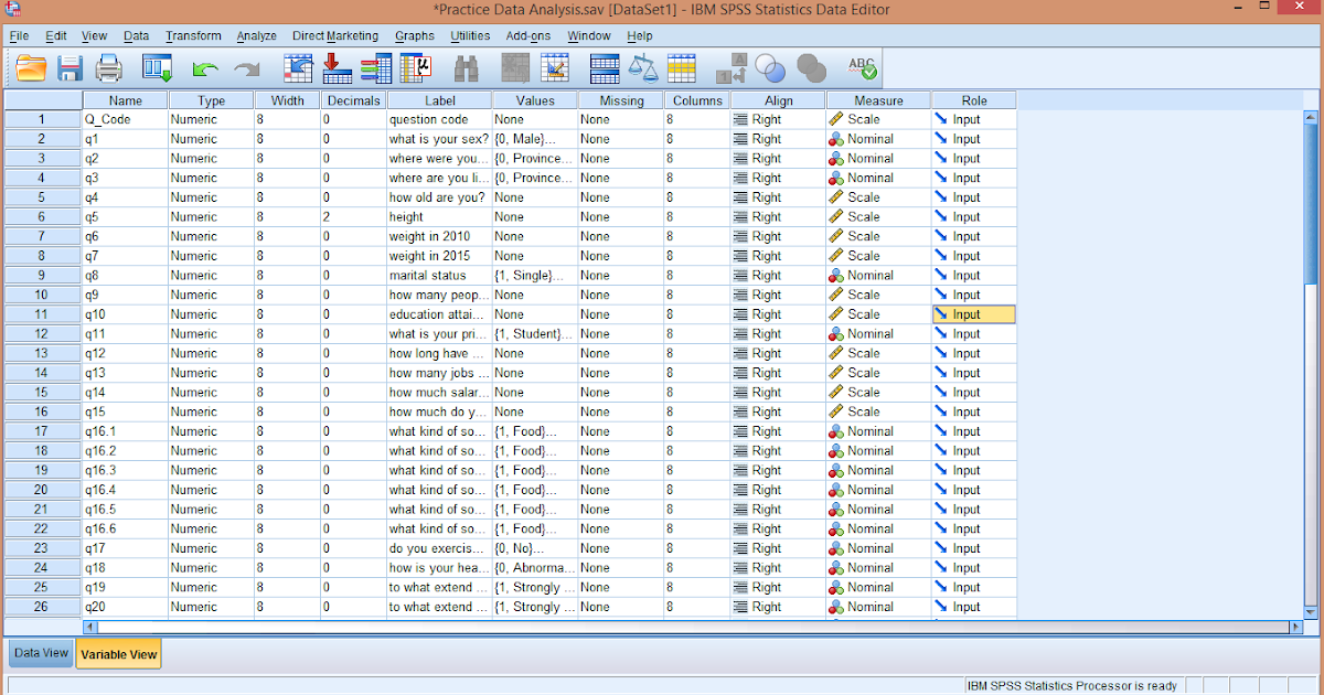 SPSS Intensive Training: Understanding the Spss Window