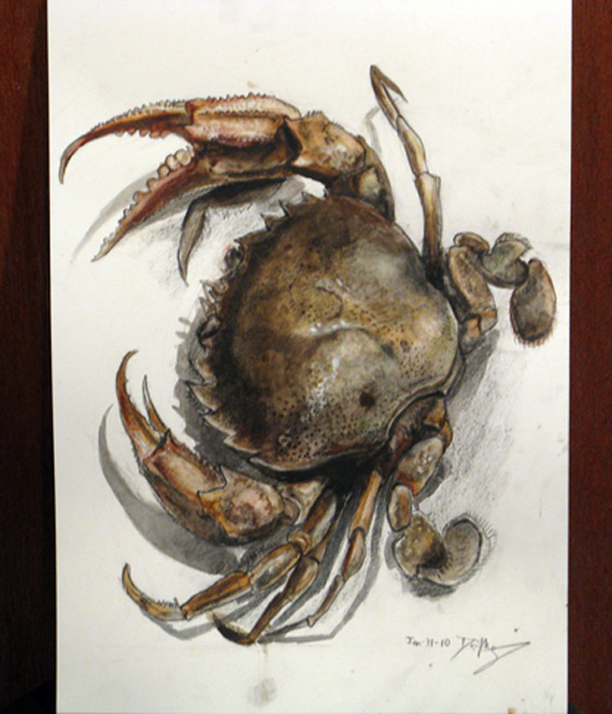 David Meng Art: New Old Stuff