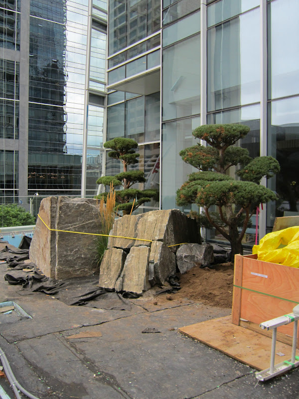 Large Tree Installations | Large Trees – Tight Spaces