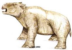 NUESTROS VECINOS PREHISTORICOS ~ Vecinos del Humedal