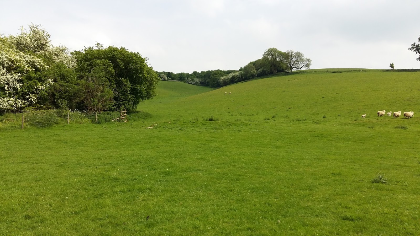 Cotswolds Travel: Shipton Oliffe & Withington Circular