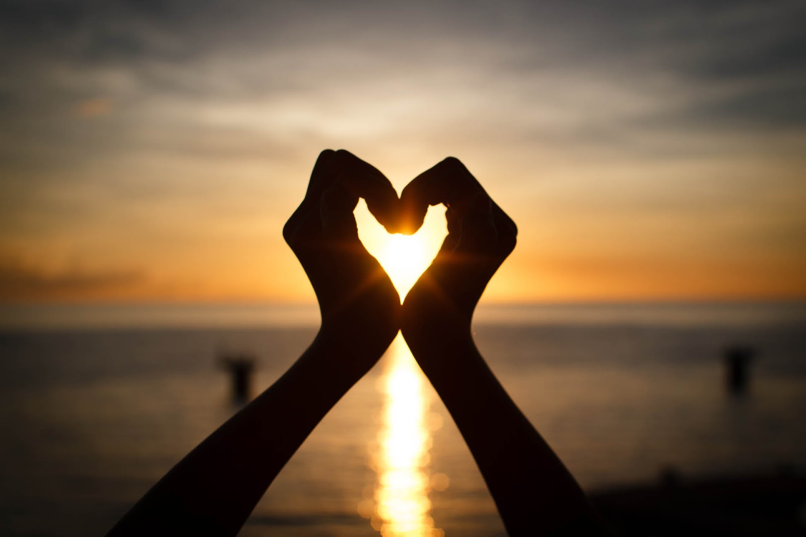 photoconuts: Shadow Picture