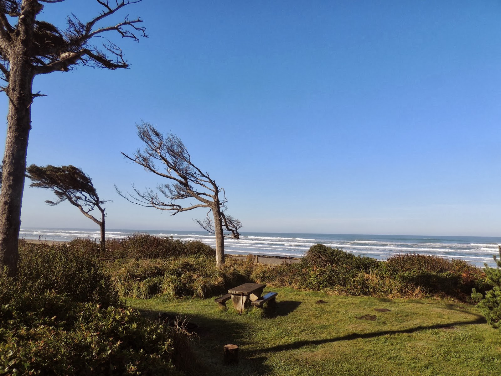 THE ROAD TAKEN : 48 Hours At Tillicum Beach