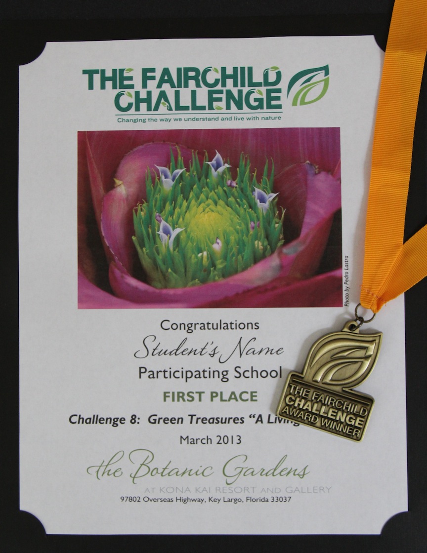 The Diary of The Botanic Gardens at Kona Kai: The Fairchild Challenge ...