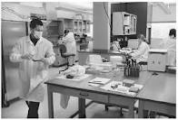 Dinge en Goete (Things and Stuff): This Day in History: Nov 24, 1932 ...