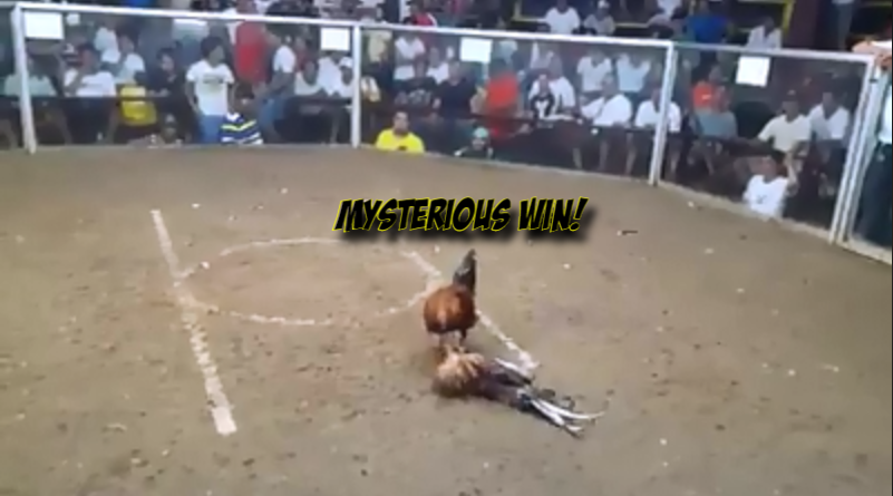 Watch!! Sniper Bulik mysterious fight | Mahiwaga O Bloodline? - World ...