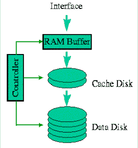 Intro to Information Technology