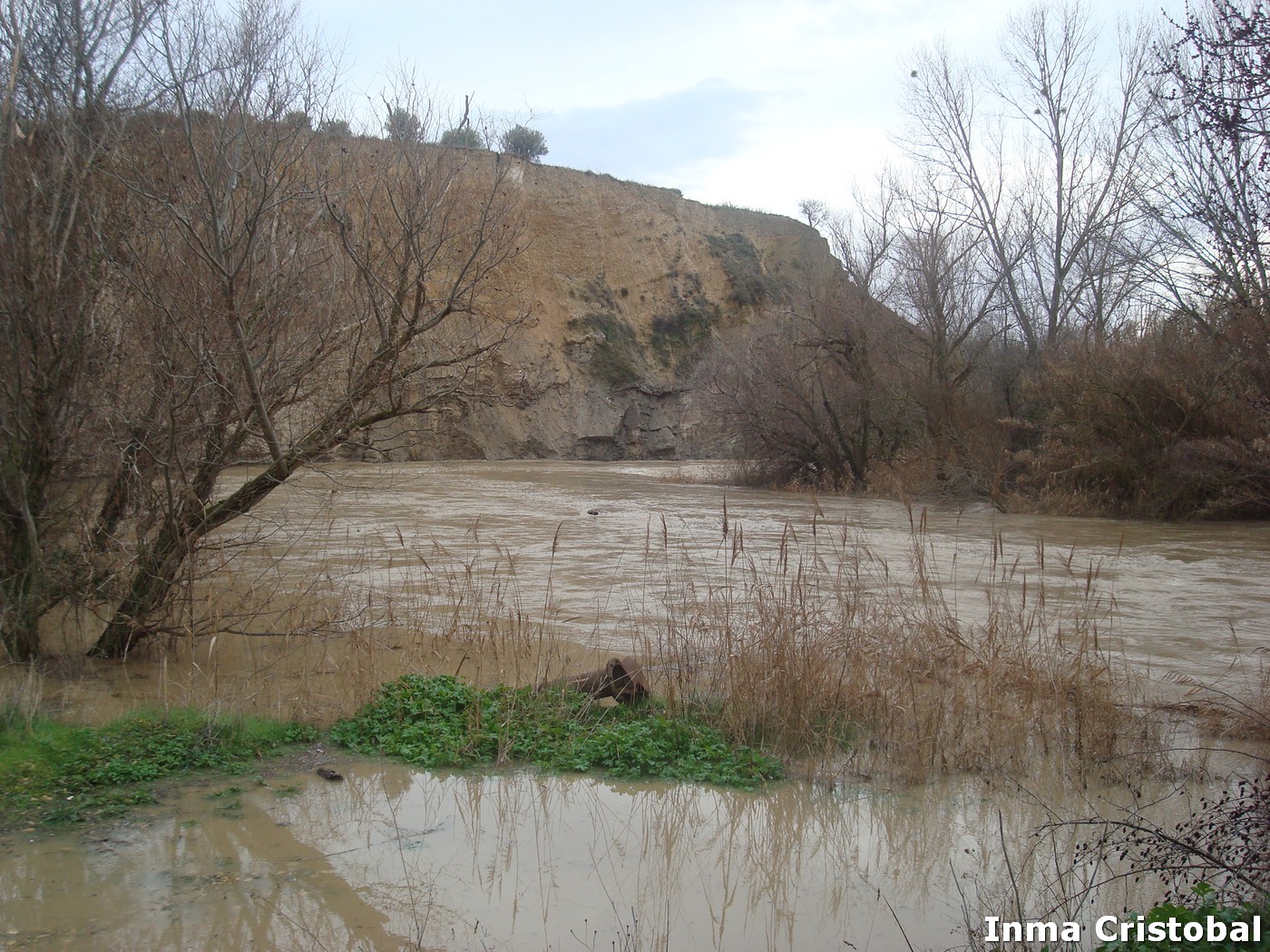 El blog del Balcon de la Ribera: SUBIDA DEL RIO EGA A SU PASO POR LERÍN.