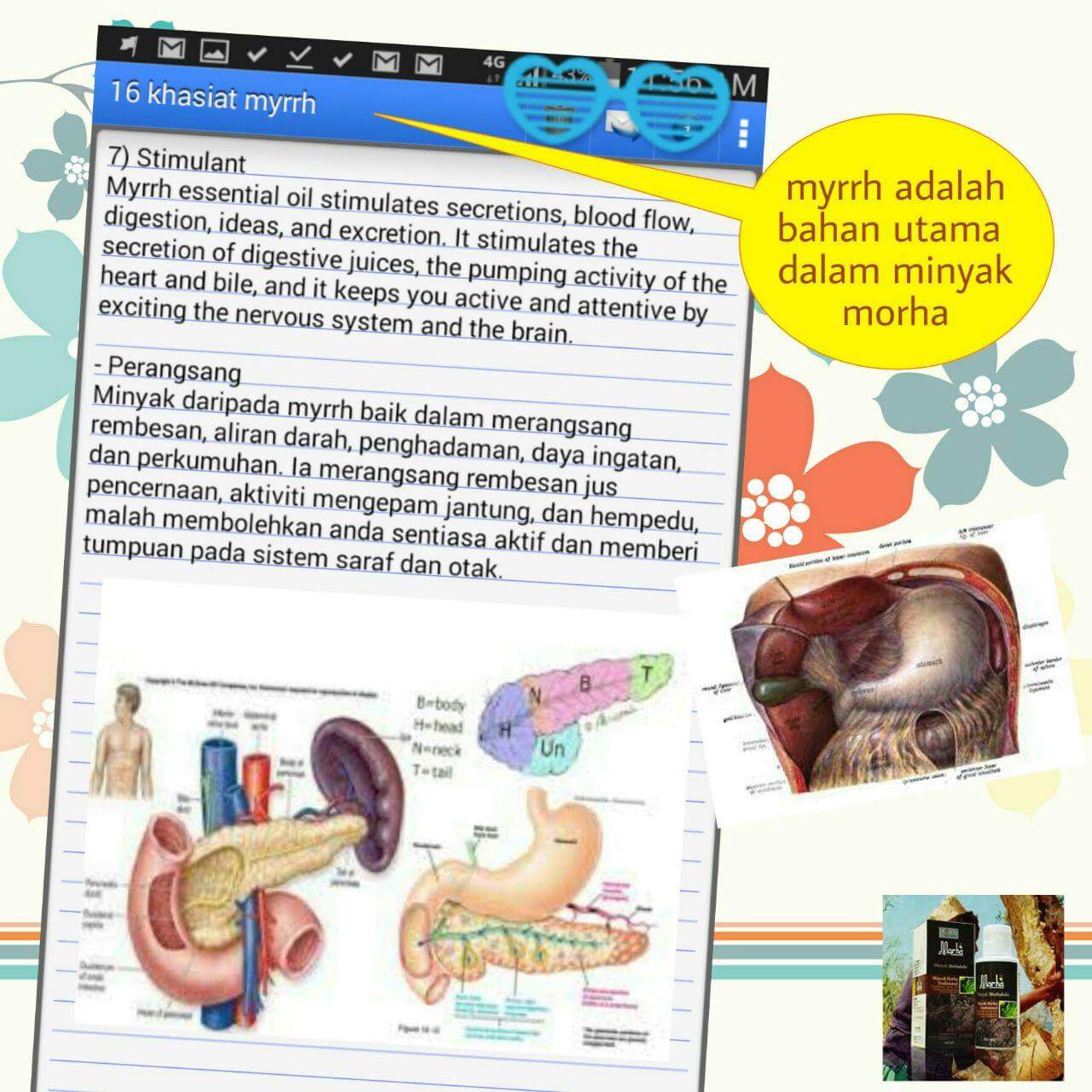 Dah ada Minyak Morha?: Khasiat unik myrrh