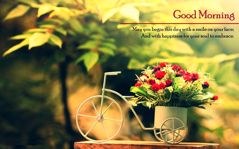 Top 100 Brand New Good Morning Quotes for Friends 2020