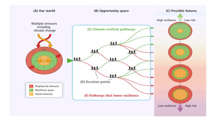 Reflections on Auckland Planning: Prof David Frame on Climate Change