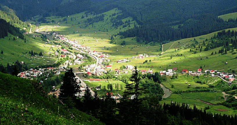 Info.Carlibaba.Bucovina.Online: Galerie Foto-Video