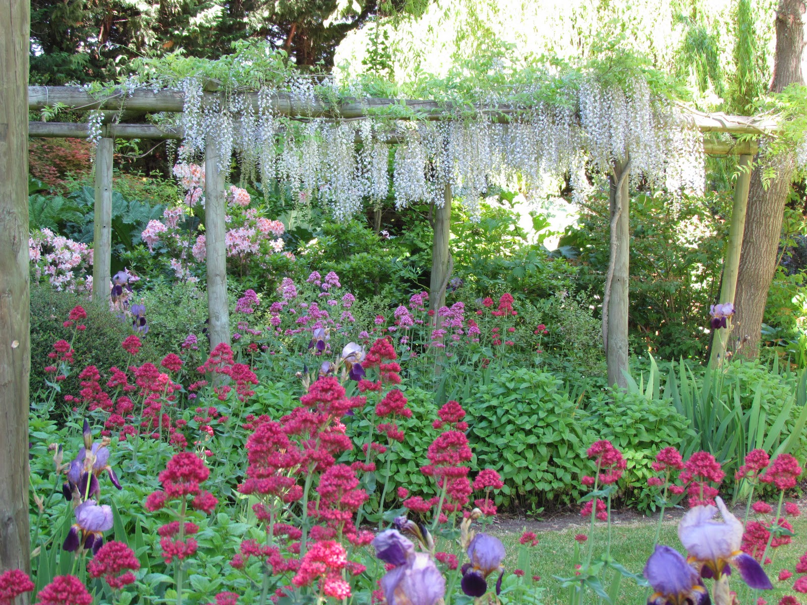 Lady Mondegreen's Secret Garden: Ohoka Garden Tour