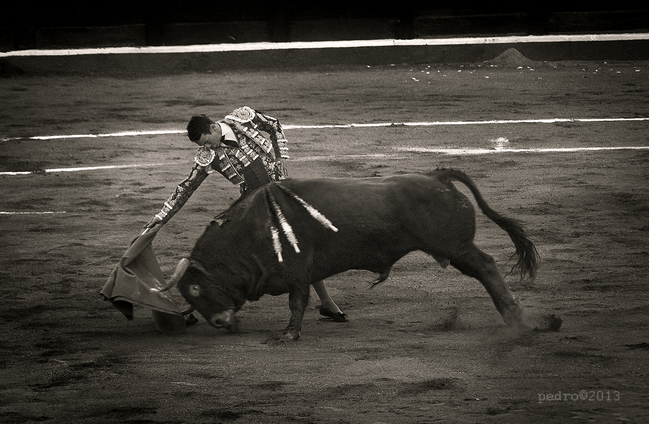 Foto-Grafías: Toros en Salamanca 2013. Pablo Hermoso de Mendoza, José ...