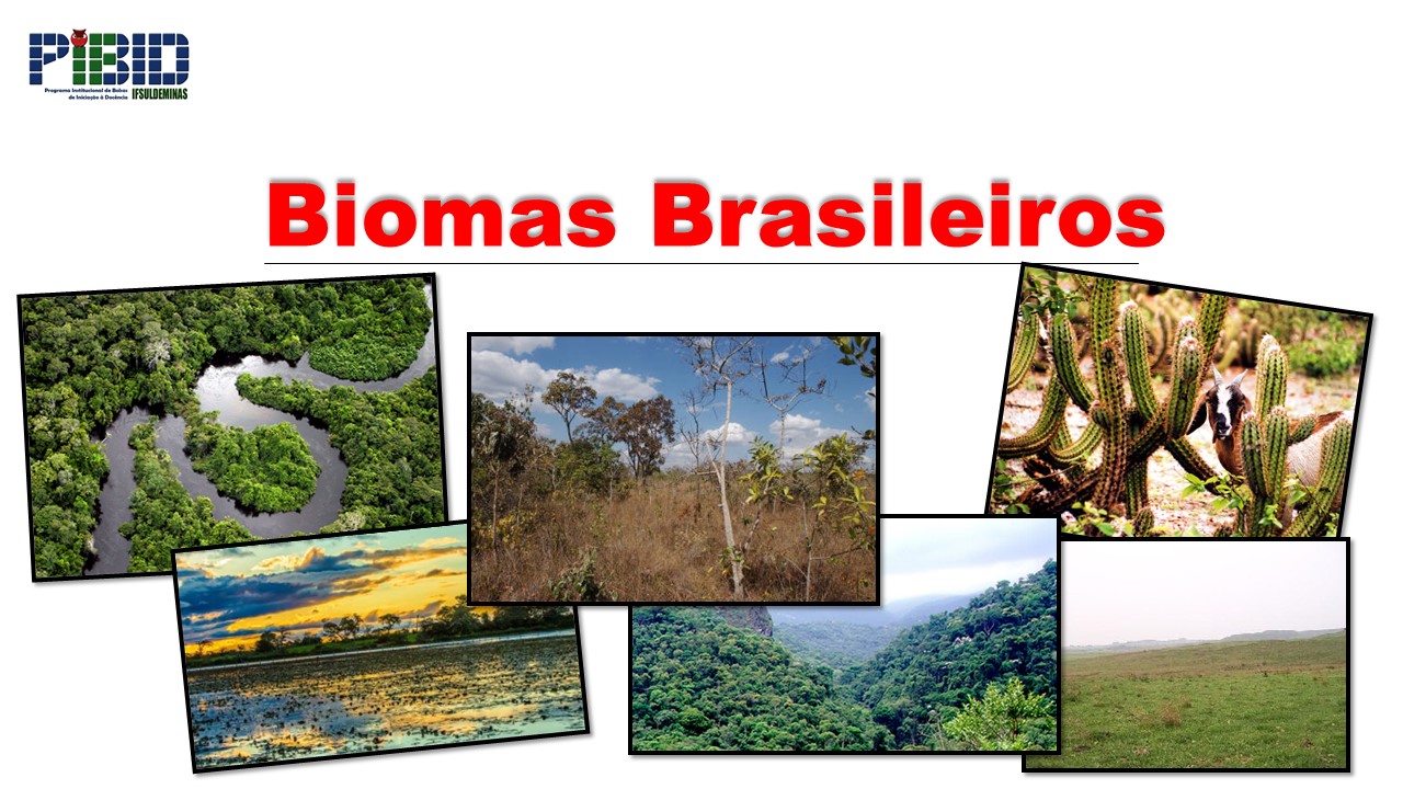 PIBID Biologia - IFSULDEMINAS/ Campus Muzambinho: Os Biomas Brasileiros I