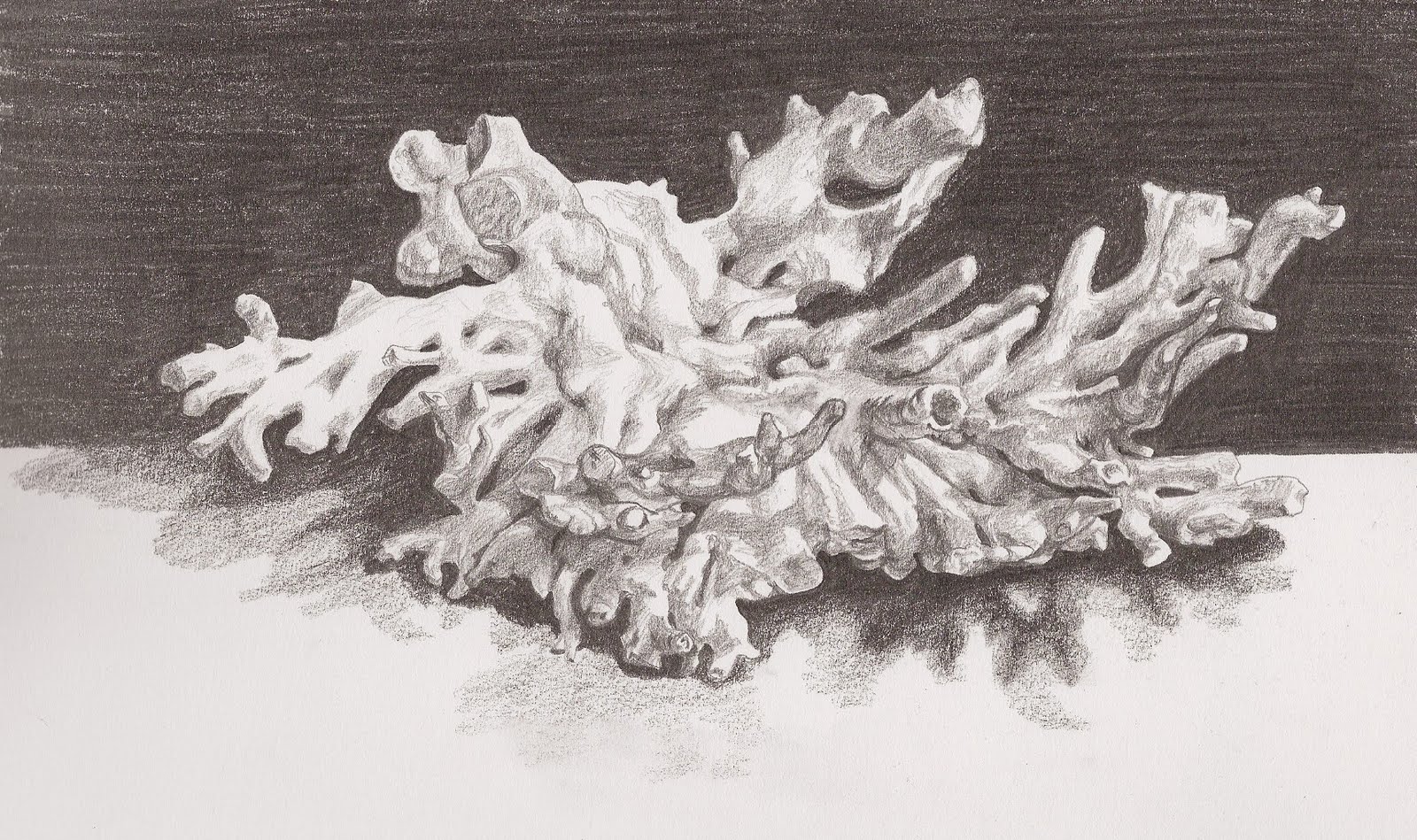 Sketch A Day 2011: 7/1/11