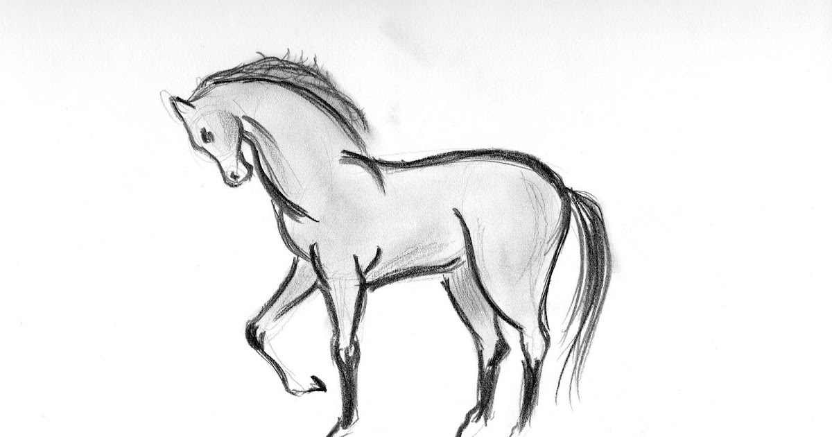 Milene Mochizuki : Quick animal pencil sketches