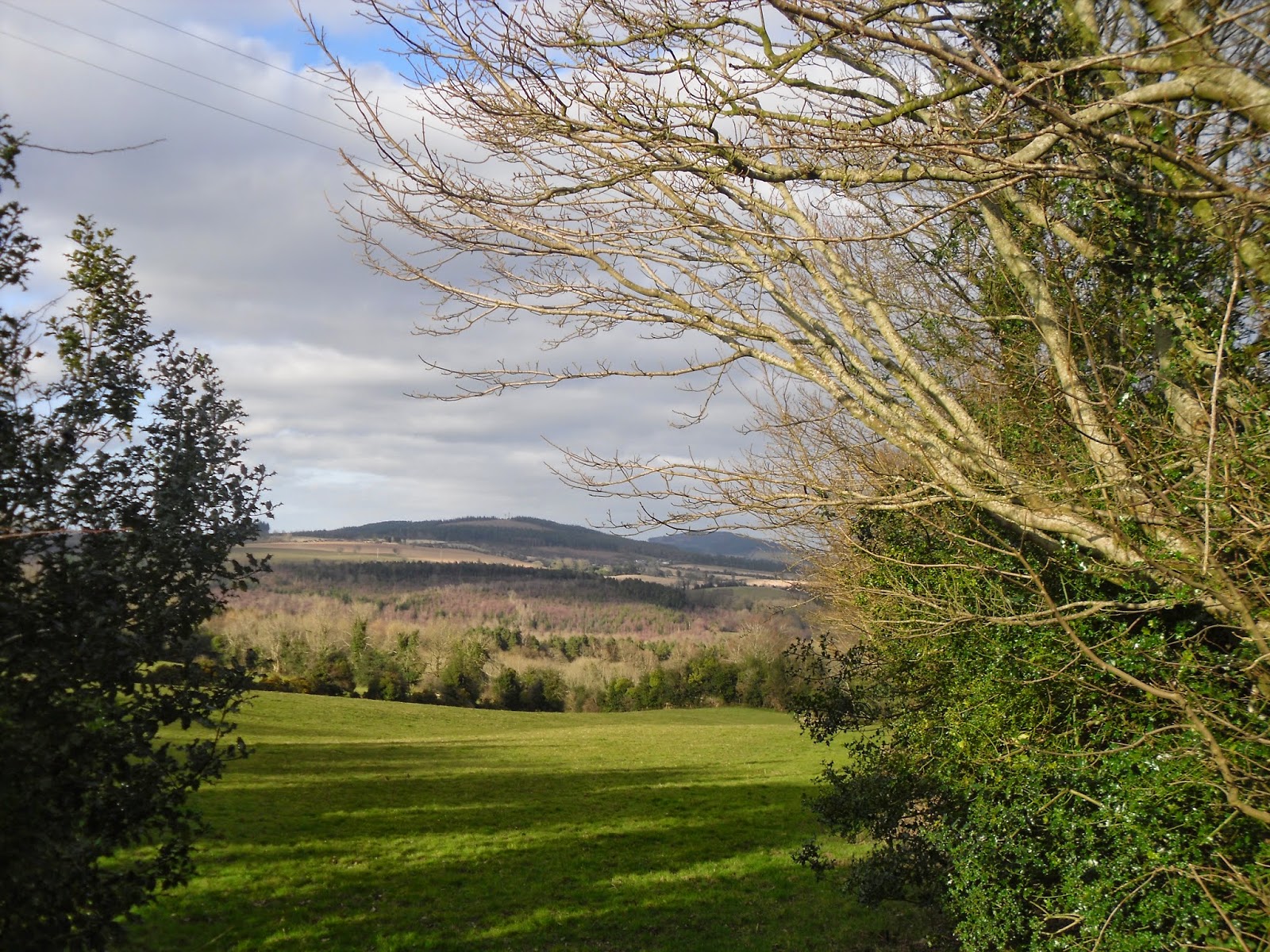 Violet Periwinkle and the Ice skating turtles: Random countryside ...