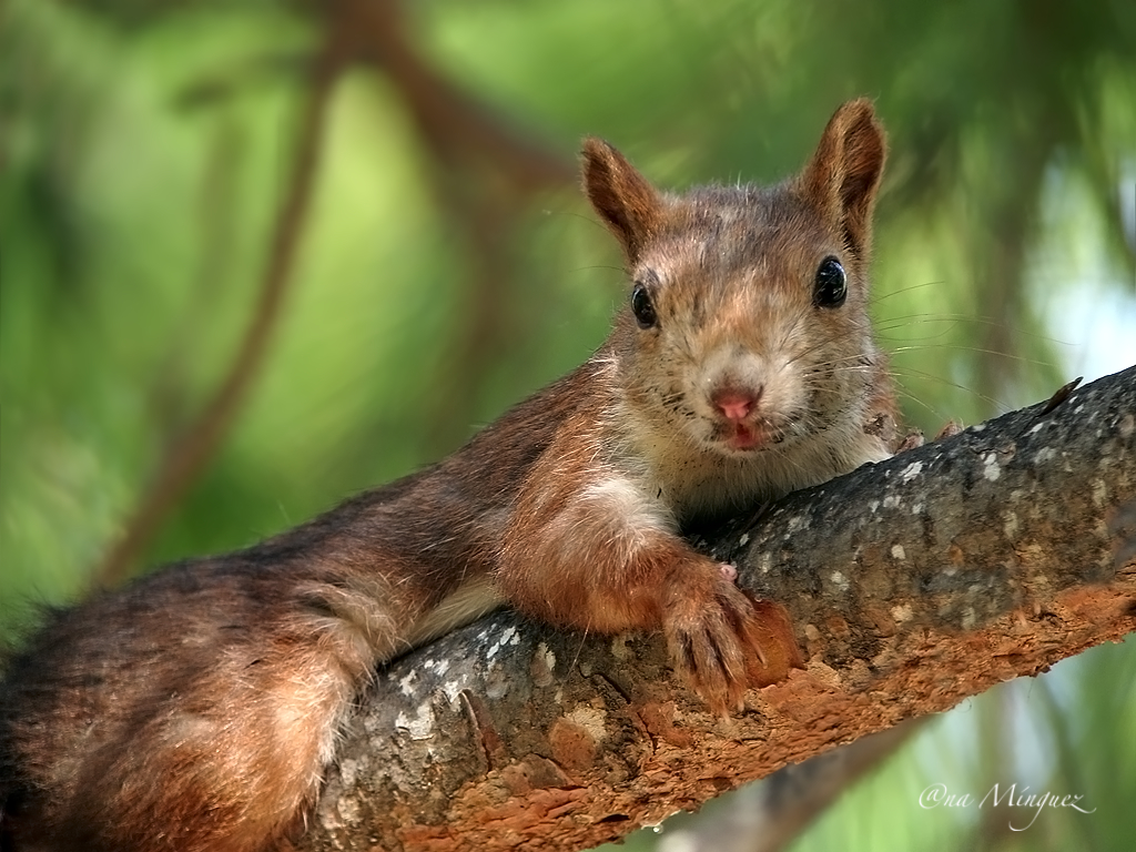 NATURANAFOTOS: agosto 2015