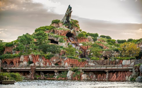 Disney Photoblography