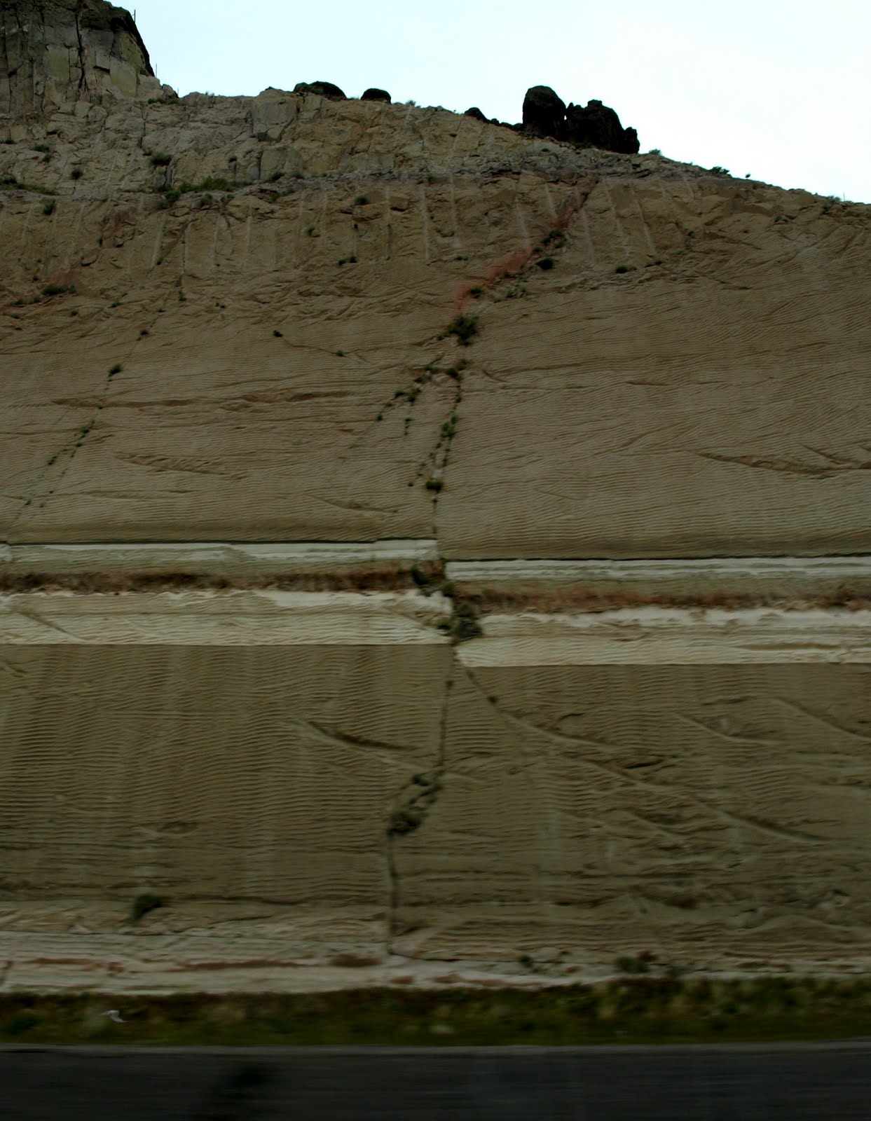 TrippingWithTomatoes: It's a Temblor