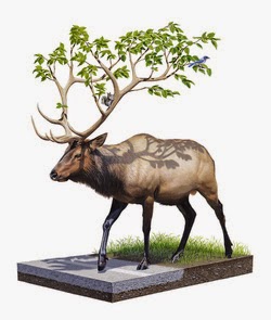 Visual Culture Journal : Amy's Lecture - Animal symbolism