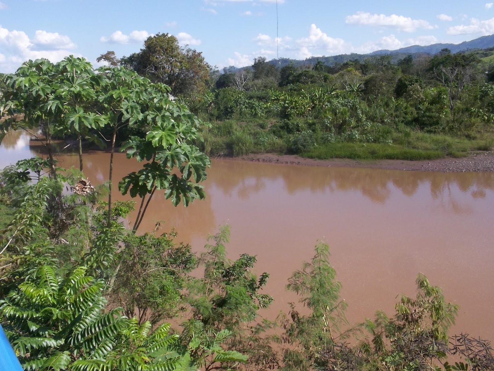LA PROVINCIA DE HUALLAGA.: El río Saposoa a su paso por la ciudad ...