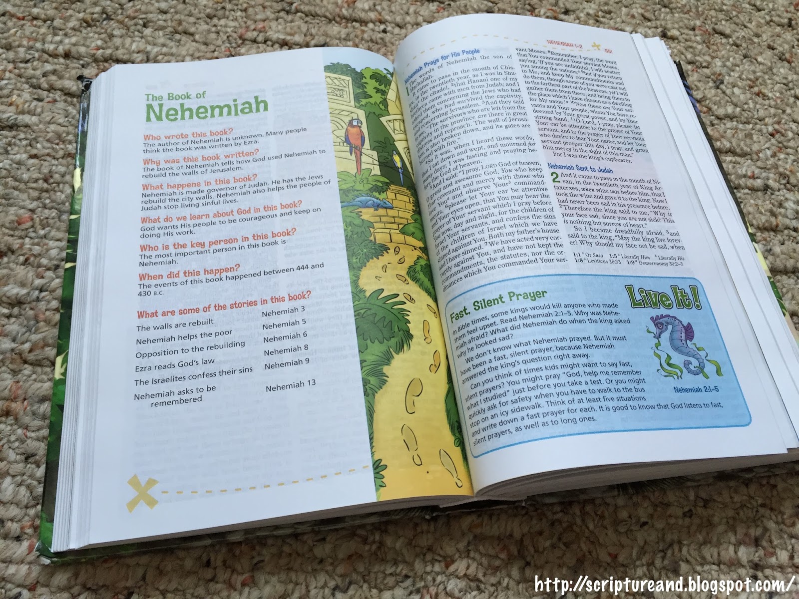 A Review of NKJV Adventure Bible