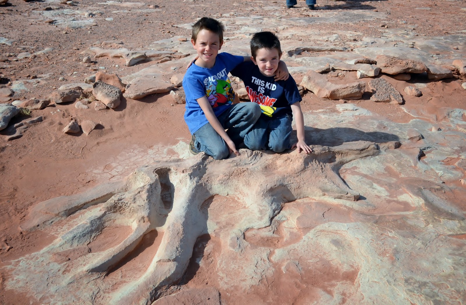 Jimmy's Blog: The Dinosaur Fossils of Arizona