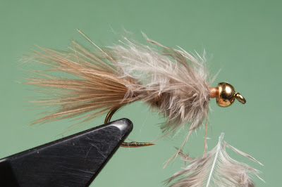 Fishing With Flies :: Blog: Step-by-steps for the "One Feather Fly"