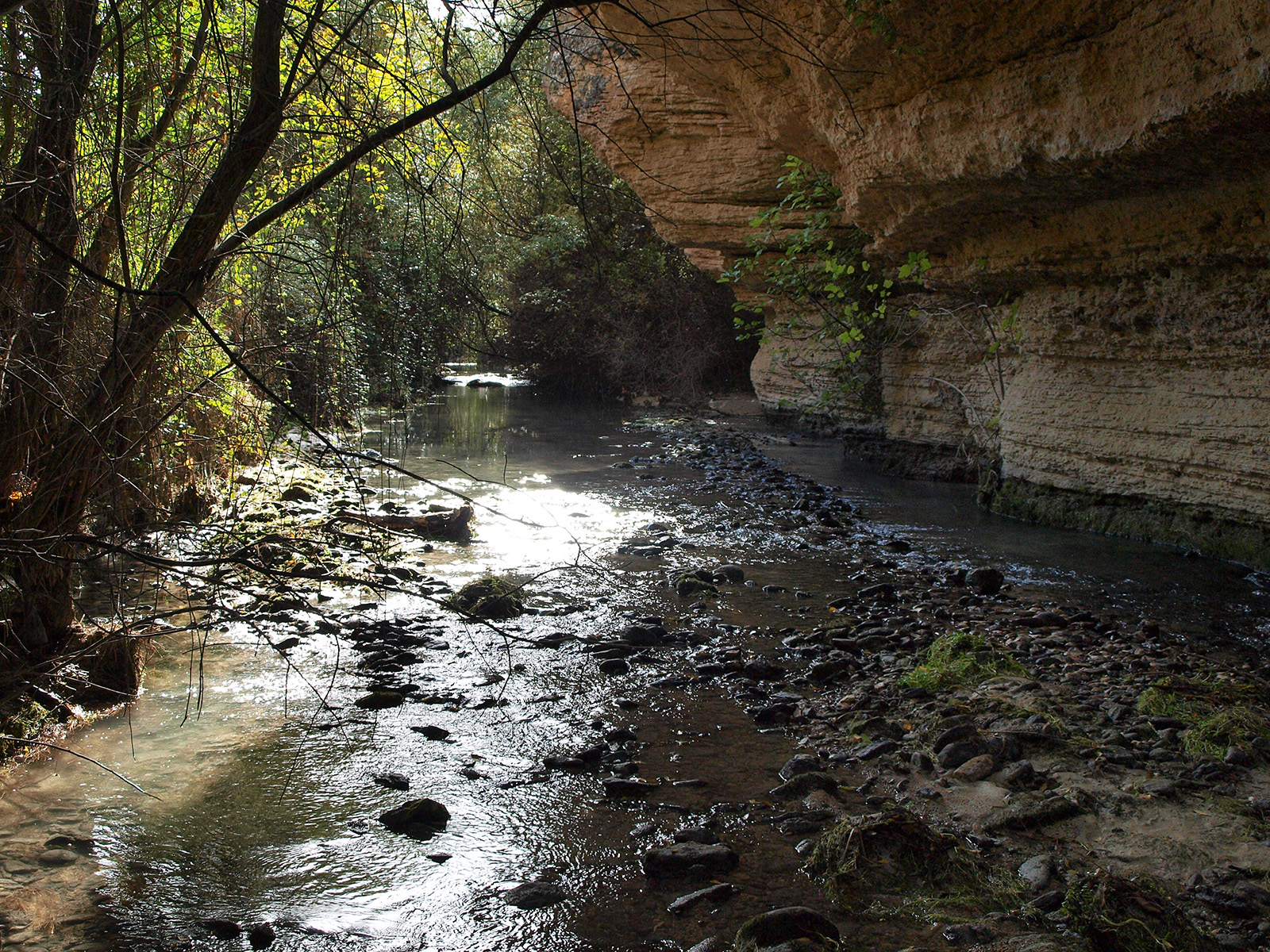 Caminando por Sierras y Calles de Andalucía: Cañón del río Cacín: II ...