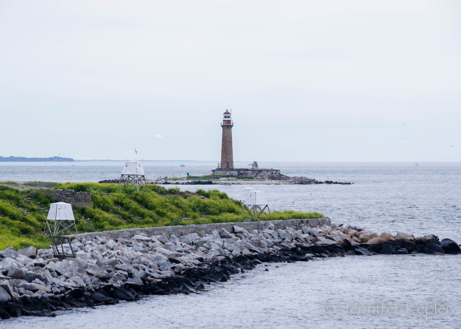 Snapshots of Nature: Great Gull Island: Part 1, the Island!