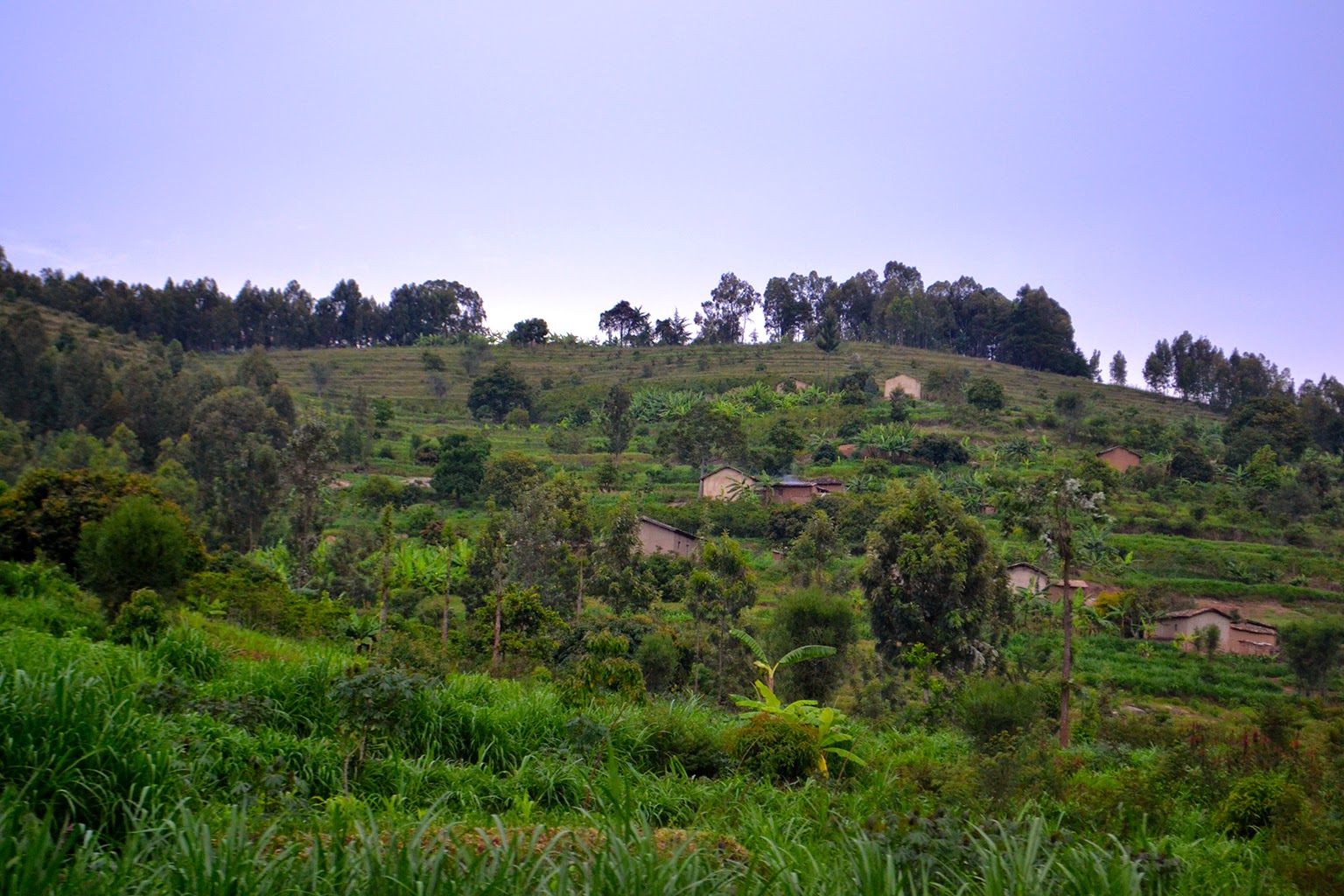 Architecture of Rapid Change and Scarce Resources - ARCSR - Rwanda ...