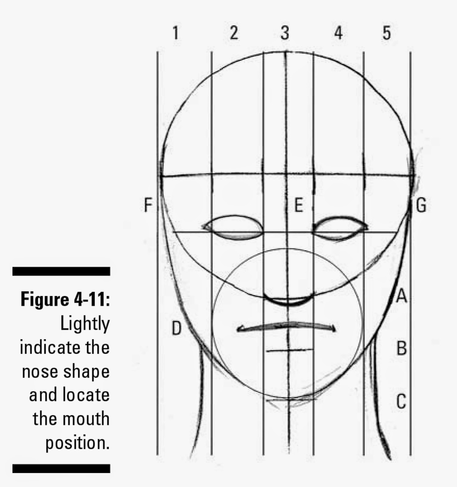 Drawings: Parts of the Head